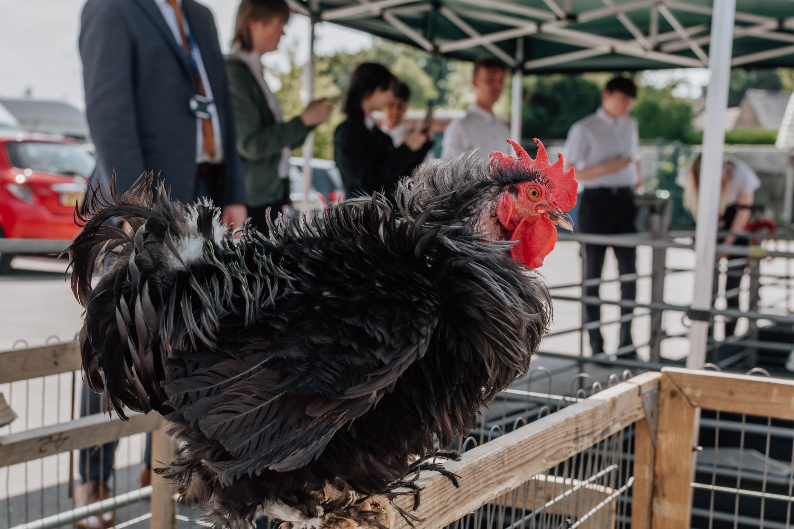 GCSE Media – Fisher’s Mobile Farm - Wellington School